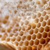 Treating Seborrheic Dermatitis with Raw Honey – SkinDrone